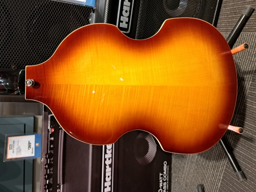 Gear Hunter | Epiphone Viola Bass